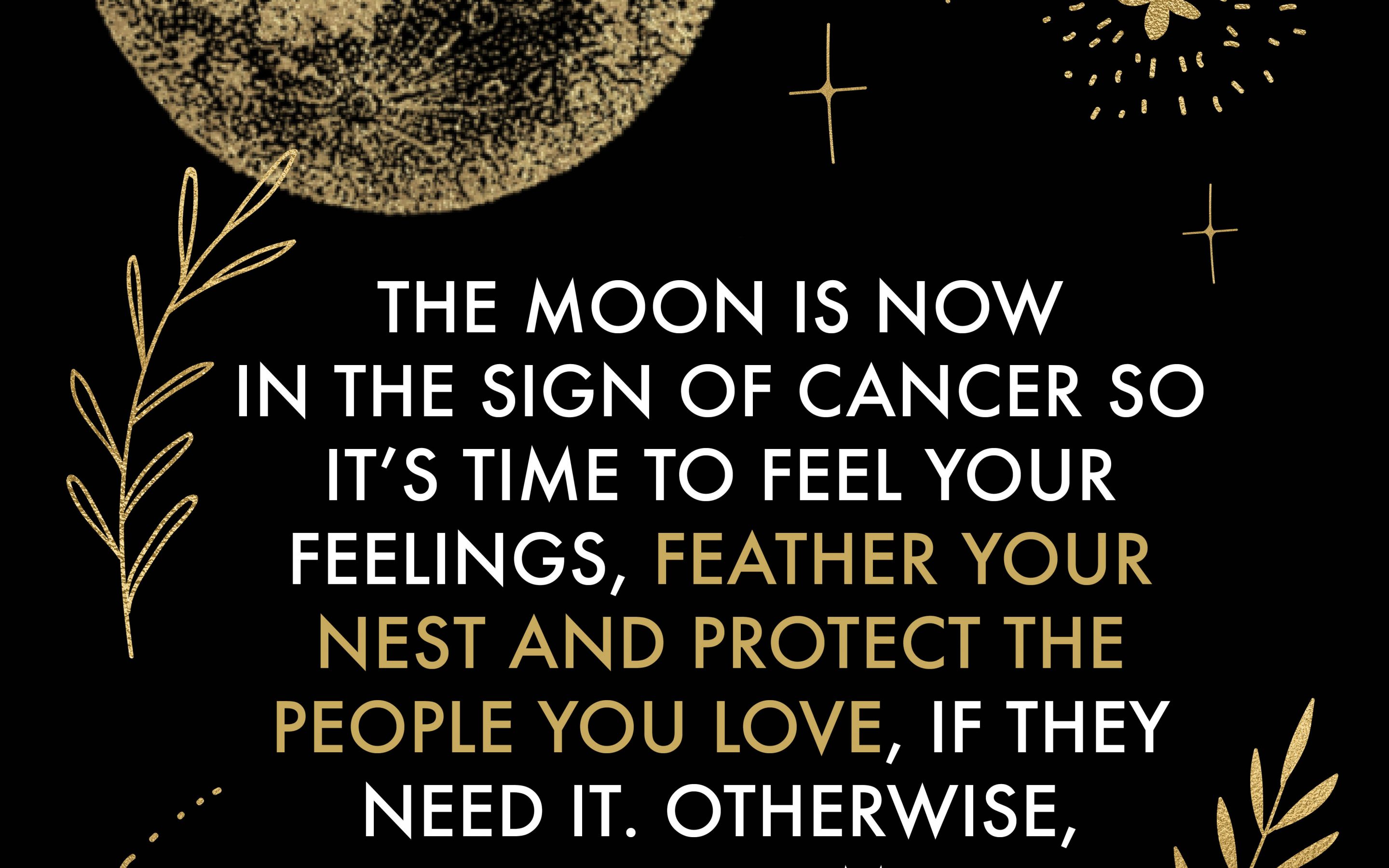 The Moon is now in the sign of Cancer - Yasmin Boland