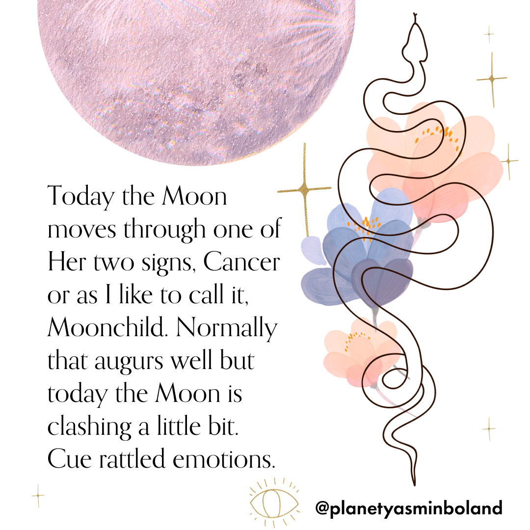 Today the Moon moves through one of Her two signs - Yasmin Boland