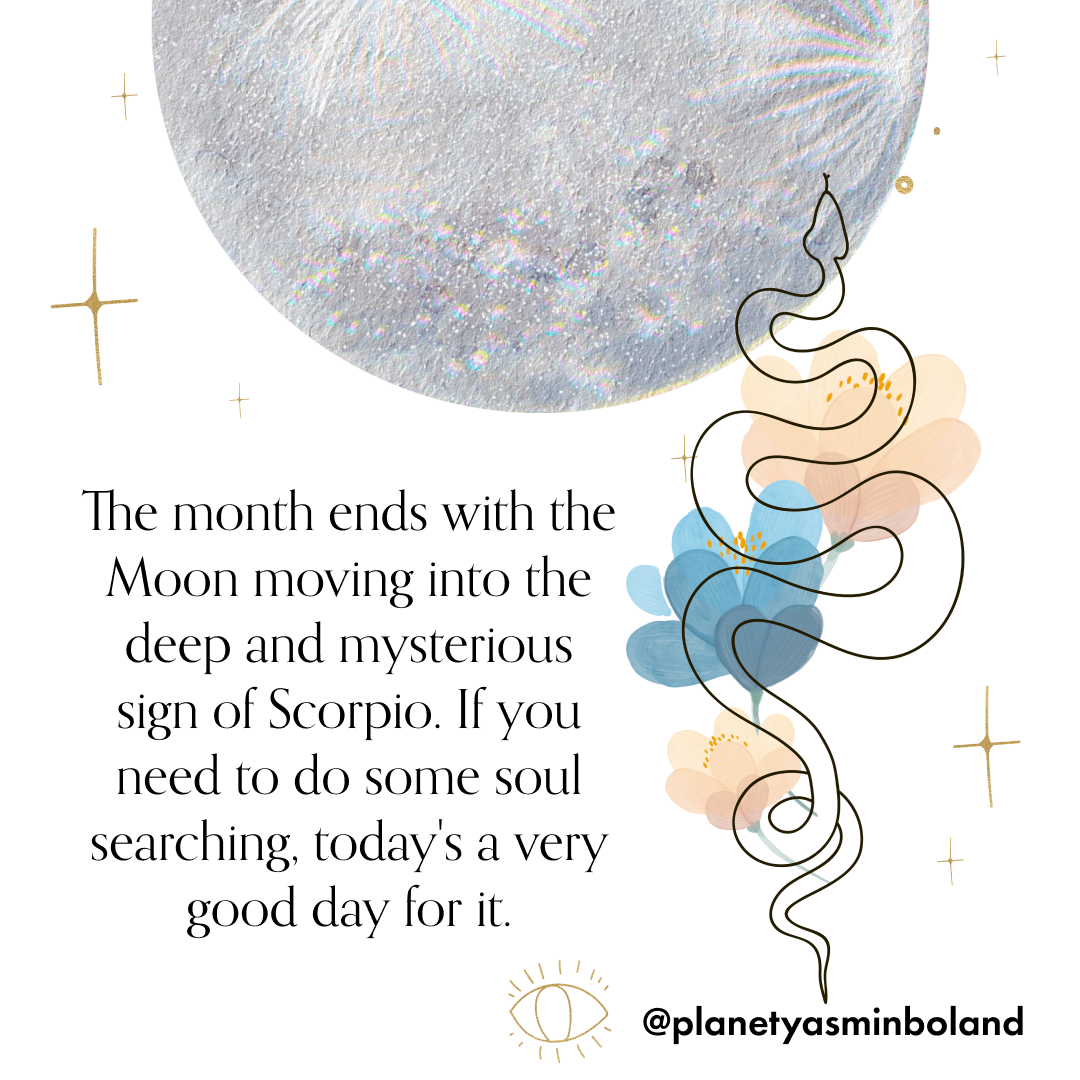 The month ends - Yasmin Boland