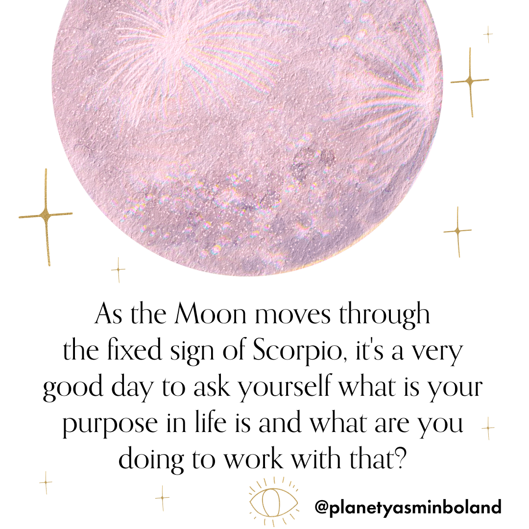 As the Moon moves through the fixed sign of Scorpio - Yasmin Boland