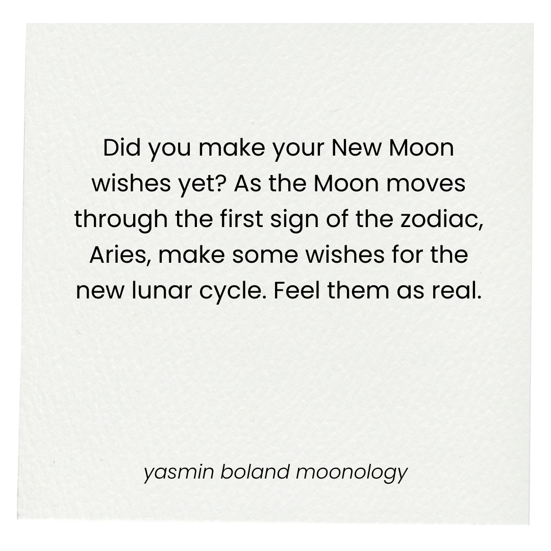 Did you make your new moon wishes yet? - Yasmin Boland